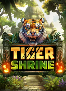 Play Online Slots | Best Slot Games in NZ | Wiz Slots