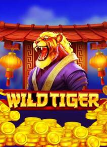 Play Online Slots | Best Slot Games in NZ | Wiz Slots